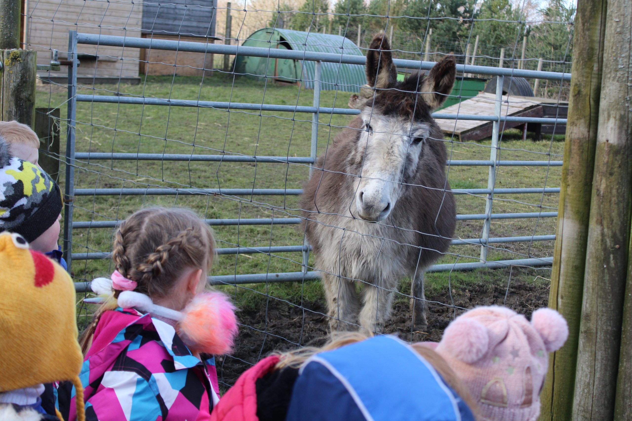 FS2 Trip to Aston Springs Farm - Kingston Park Academy